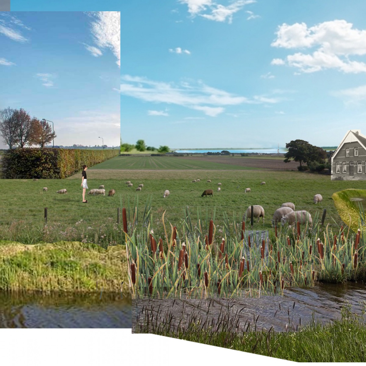 Een introductie op erfgoed en landschapsfotografie - Podium voor ...